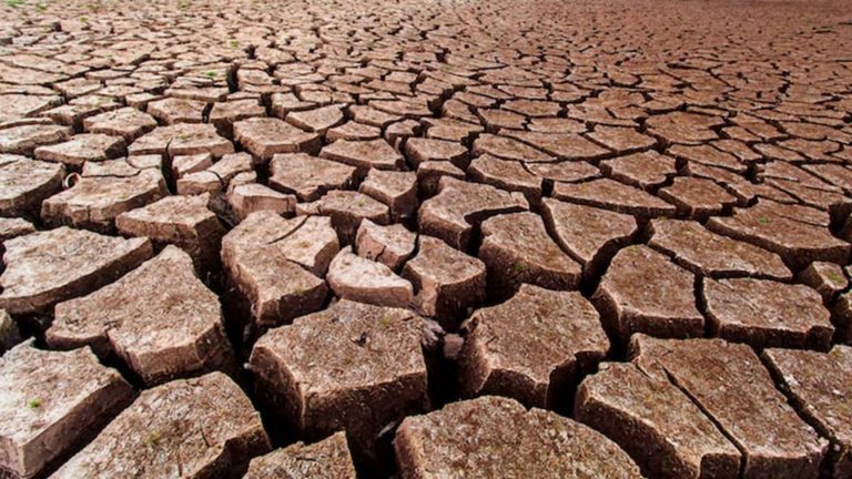 Black Cotton Soil: Ultimate Guide 101 To Properties, Problems And ...